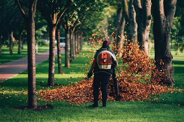 Fall Lawncare | Levant, ME | Martin Property Maintenance